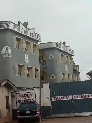 Tadey International Schools - Secondary Schools in Idimu, Lagos State